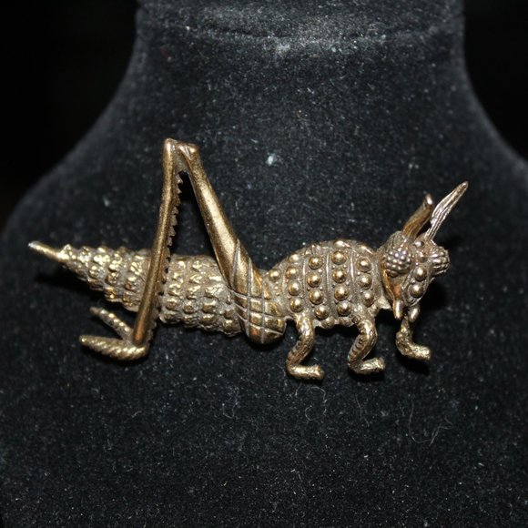 Jewelry | Gold Tone Cricket Brooch Very Interesting | Poshmark